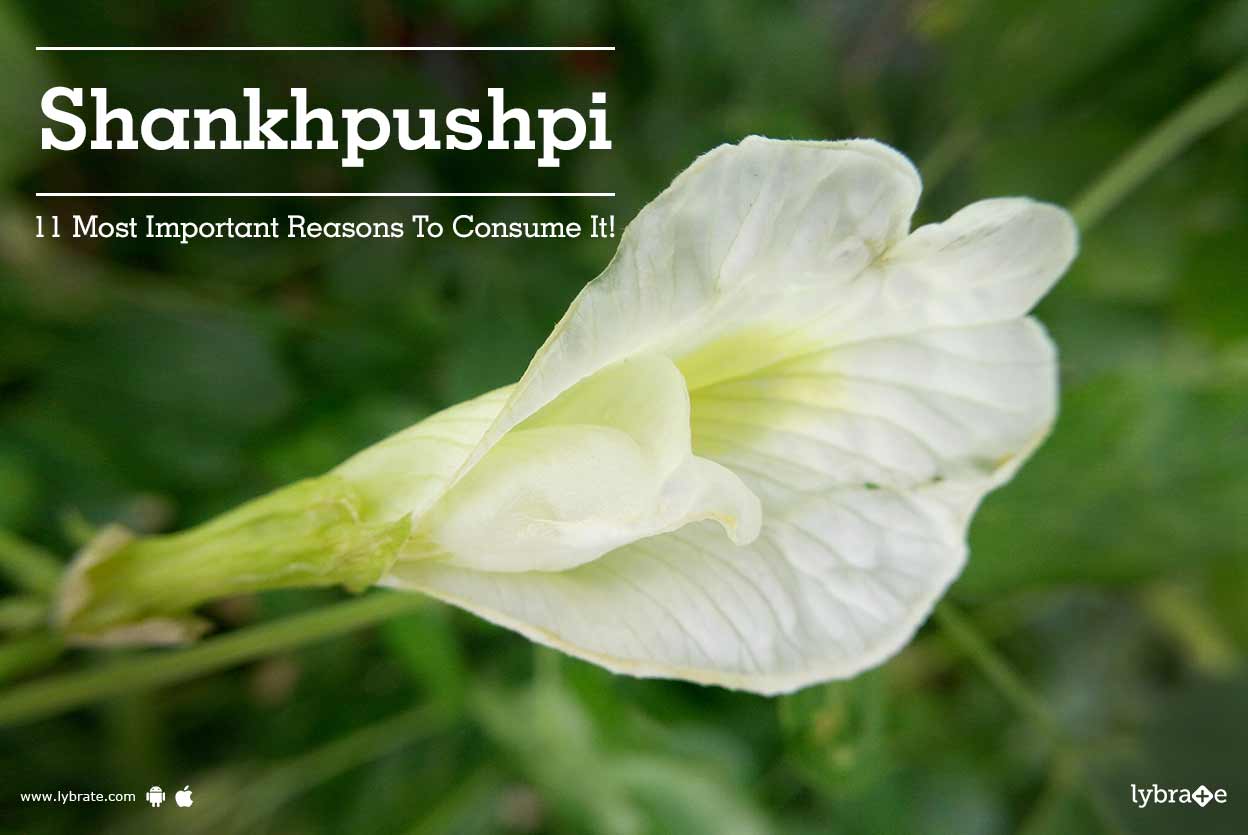 Shankhpushpi - 11 Most Important Reasons To Consume It! - By The ...