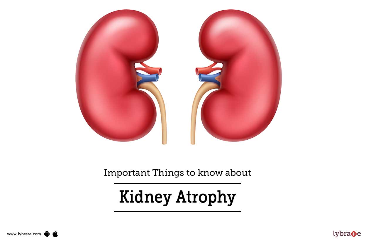 Important things to know about Kidney Atrophy - By Dr. Garima | Lybrate