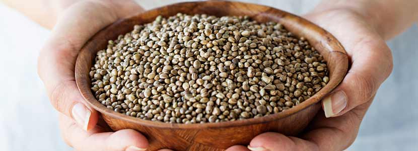 Bhang Benefits And Its Side Effects | Lybrate