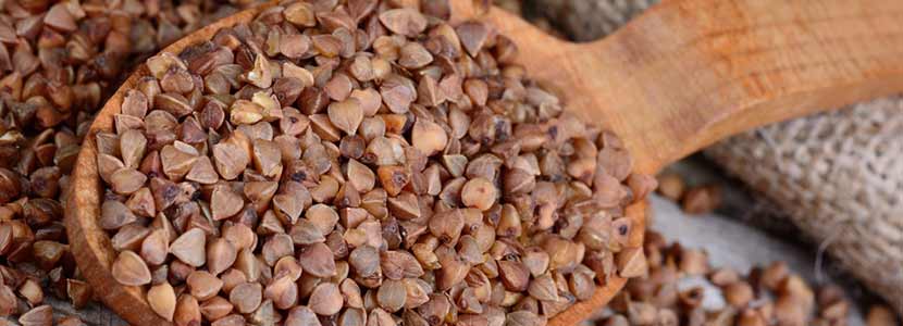 Benefits of Buckwheat And Its Side Effects | Lybrate