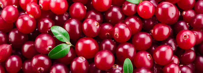 Cranberry Benefits And Its Side Effects | Lybrate