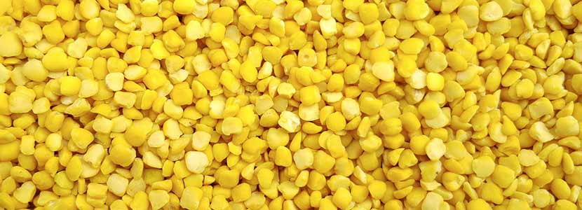 Pigeon Peas (Arhar Dal) Benefits And Its Side Effects | Lybrate