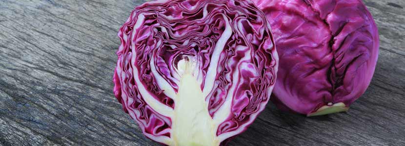 Benefits of Red Cabbage And Its Side Effects | Lybrate