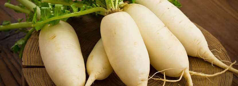 Benefits of Daikon And Its Side Effects | Lybrate