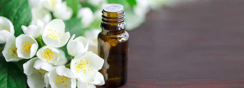 Jasmine Oil Benefits And Its Side Effects | Lybrate
