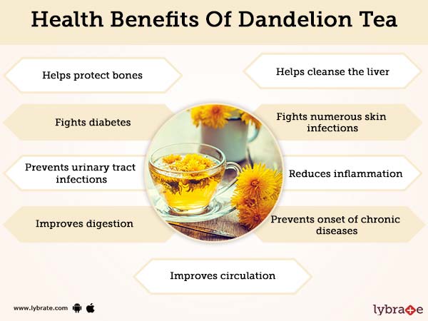 Benefits of Dandelion And Its Side Effects | Lybrate