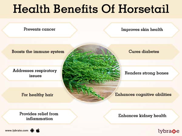 Benefits of Horsetail And Its Side Effects | Lybrate