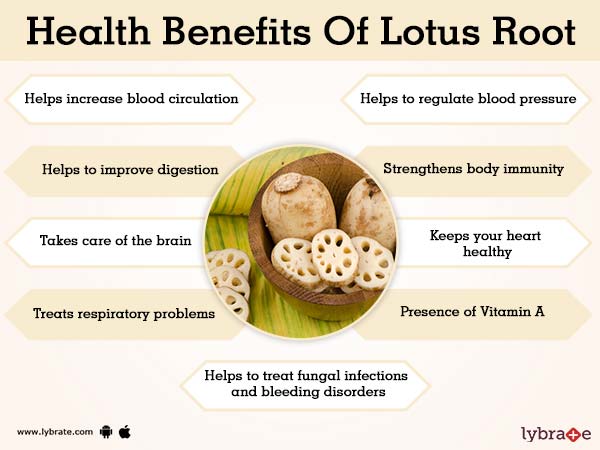 Benefits of Lotus Root And Its Side Effects | Lybrate