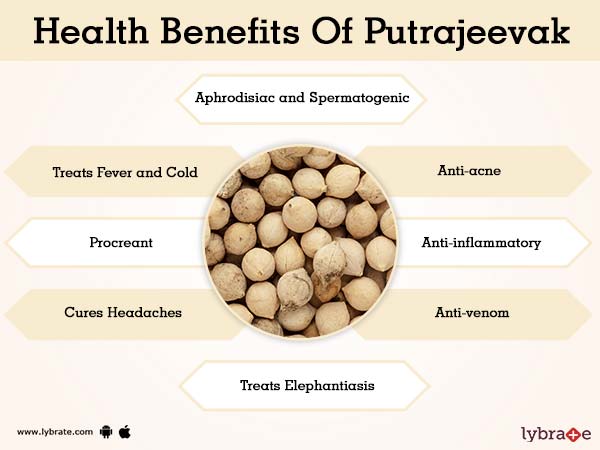 Putrajeevak Benefits And Its Side Effects | Lybrate