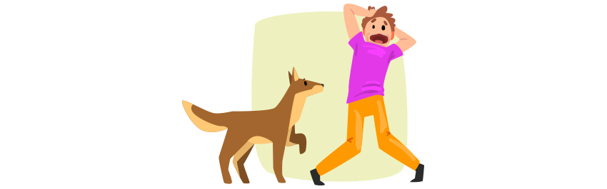 Cynophobia: An Overview On The Fear of Dogs