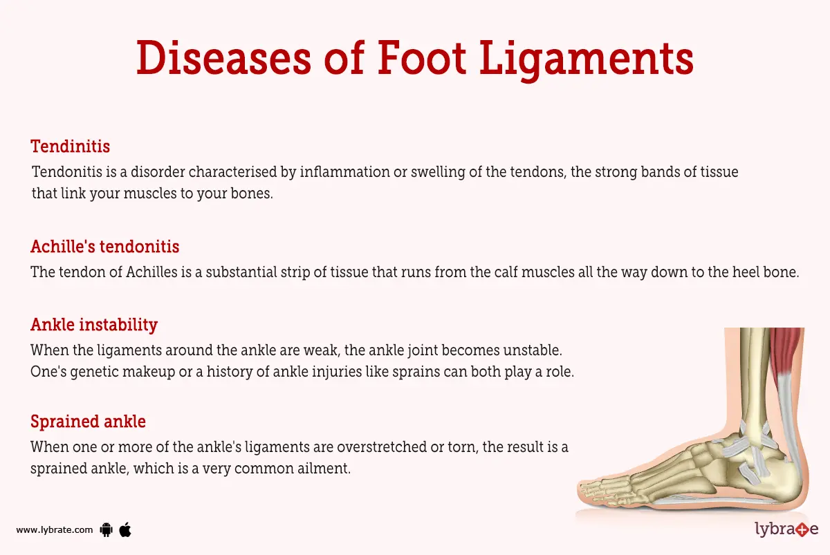 Foot Ligaments (Human Anatomy): Image, Functions, Diseases and Treatments
