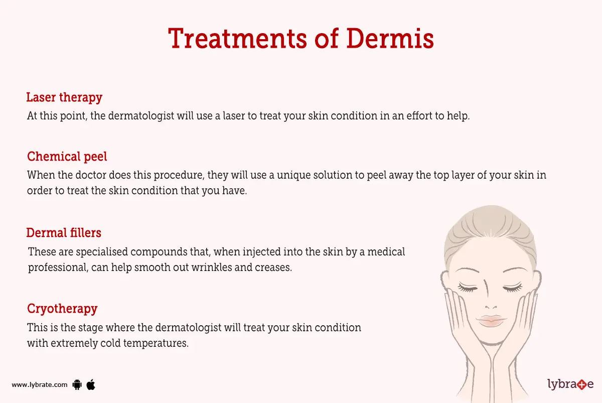 Dermis (Human Anatomy): Image, Functions, Diseases and Treatments