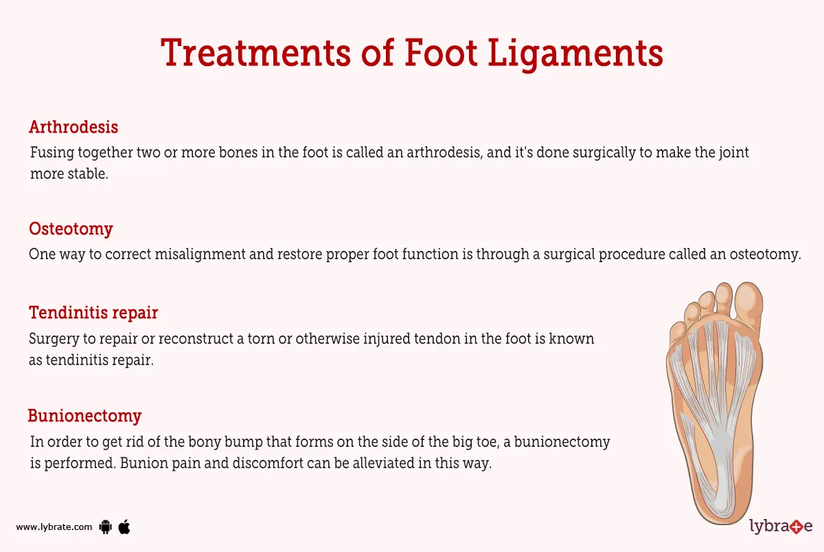 Foot Ligaments (Human Anatomy): Image, Functions, Diseases and Treatments
