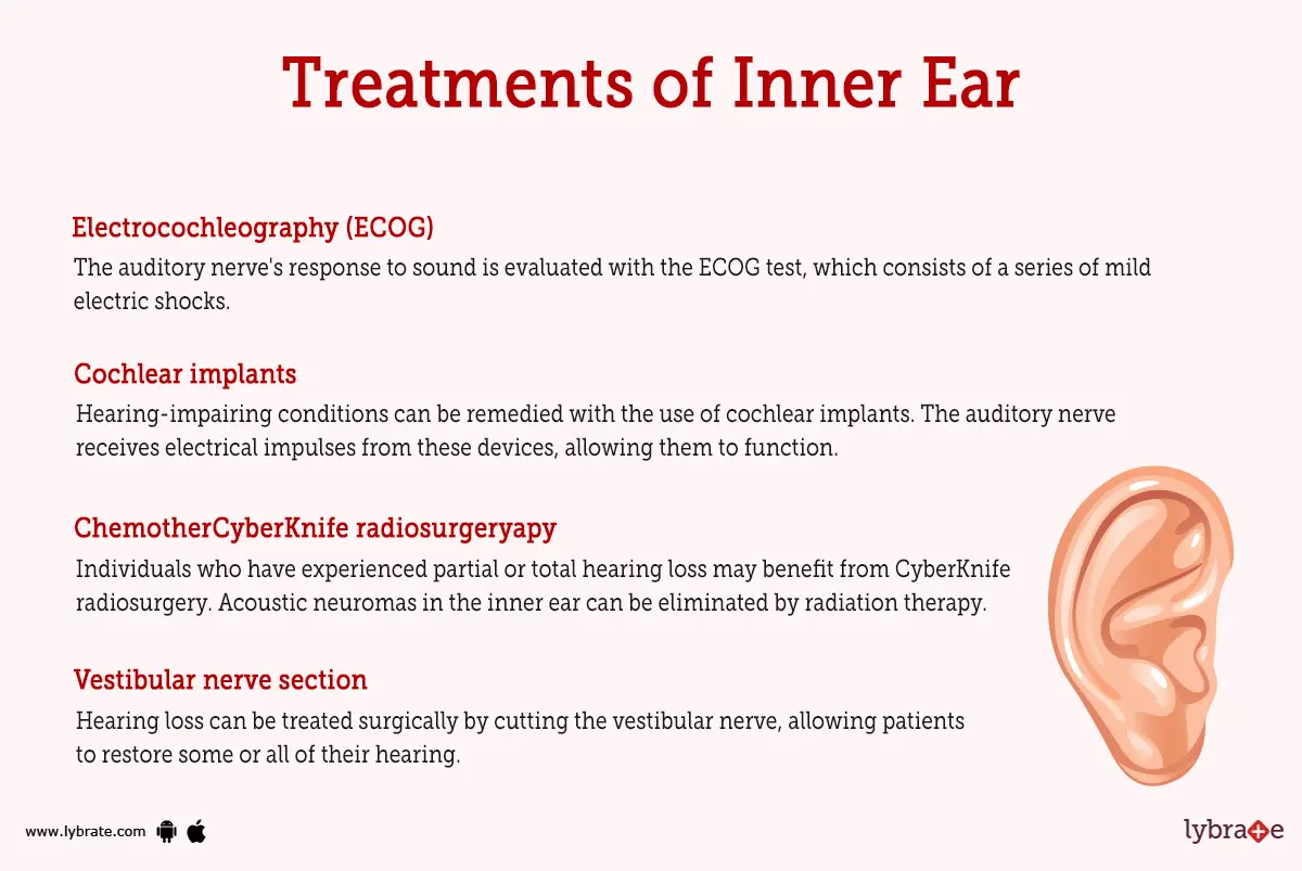 Inner ear (Human Anatomy): Image, Functions, Diseases and Treatments