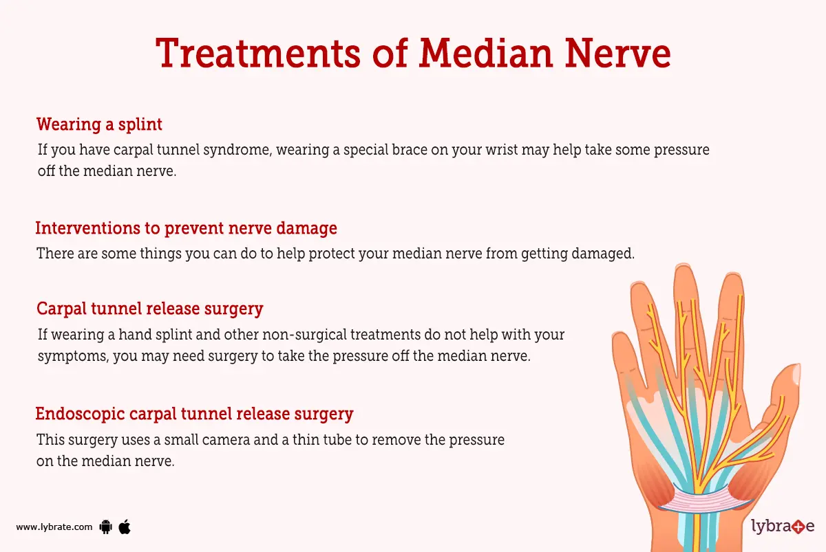 Median Nerve (Human Anatomy): Image, Functions, Diseases and Treatments