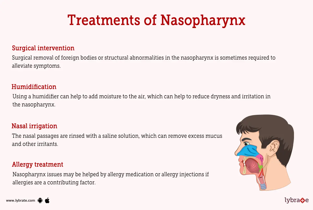 Nasopharynx (Human Anatomy): Image, Functions, Diseases and Treatments