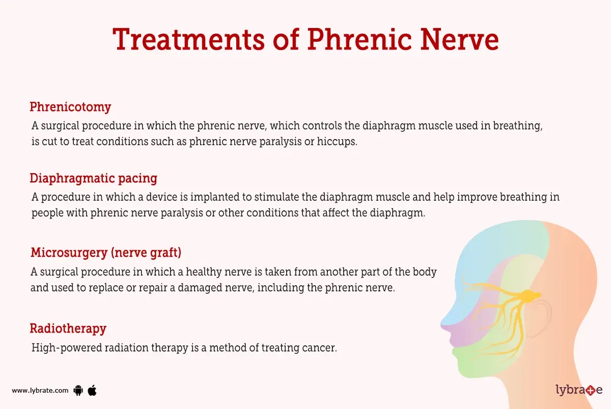 Phrenic Nerve Human Anatomy Image Functions Diseases And Treatments
