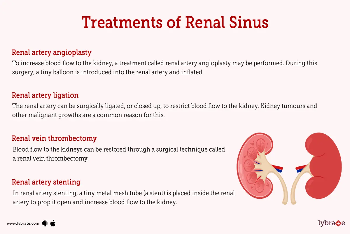 Renal Sinus (Human Anatomy): Image, Functions, Diseases and Treatments