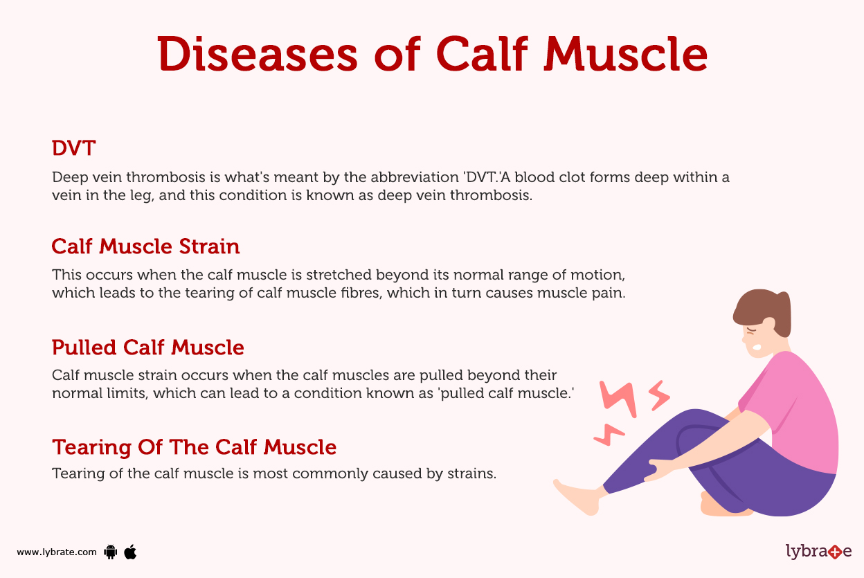 Calf Muscle (Human Anatomy): Diagram, Function, Diseases and More