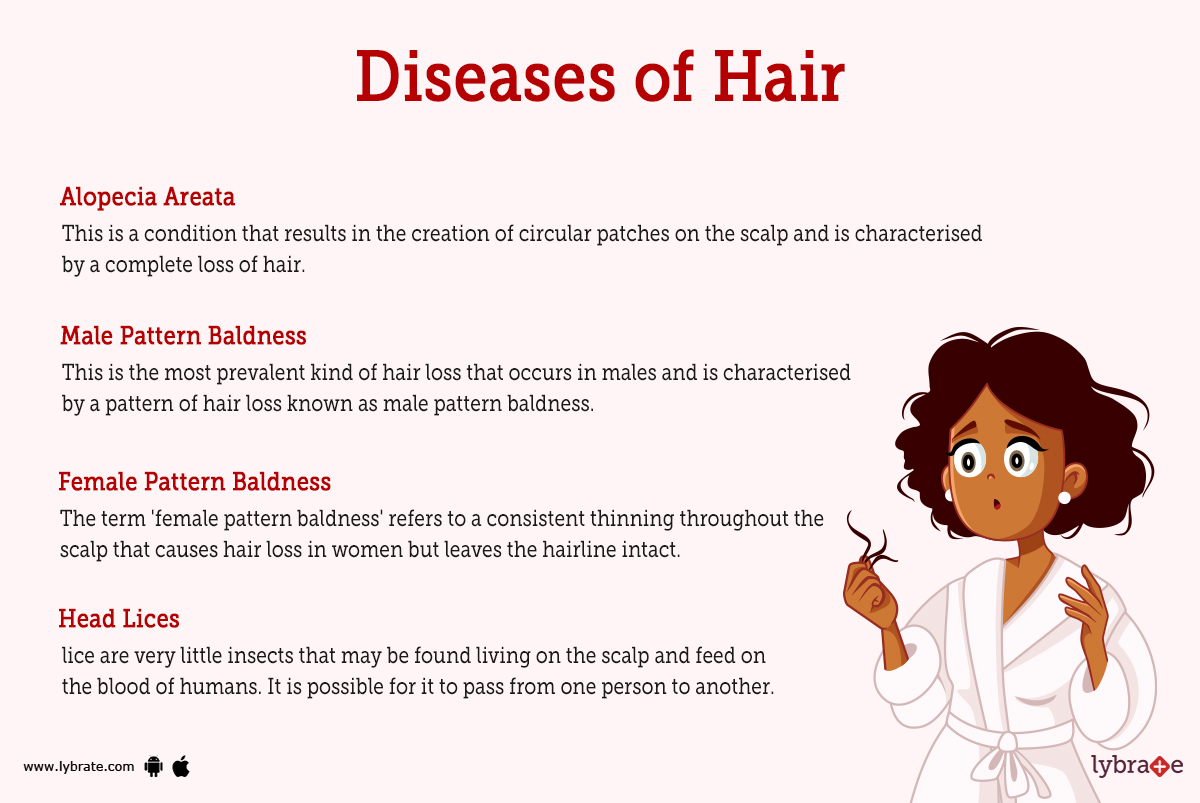 Hair (Human Anatomy): Image, Functions, Diseases, and Treatments