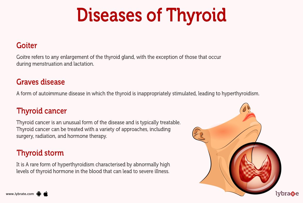 Throid (Human Anatomy): Picture, Function, Diseases, Tests, and Treatments Throid (Human Anatomy): Picture, Function, Diseases, Tests, and Treatments