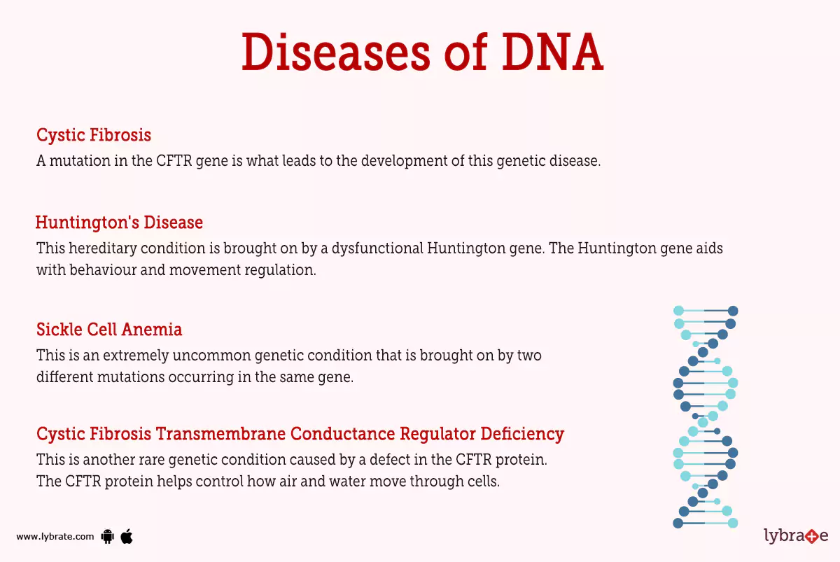 DNA Genes and Chromosomes (Human Anatomy): Image, Functions, Diseases ...