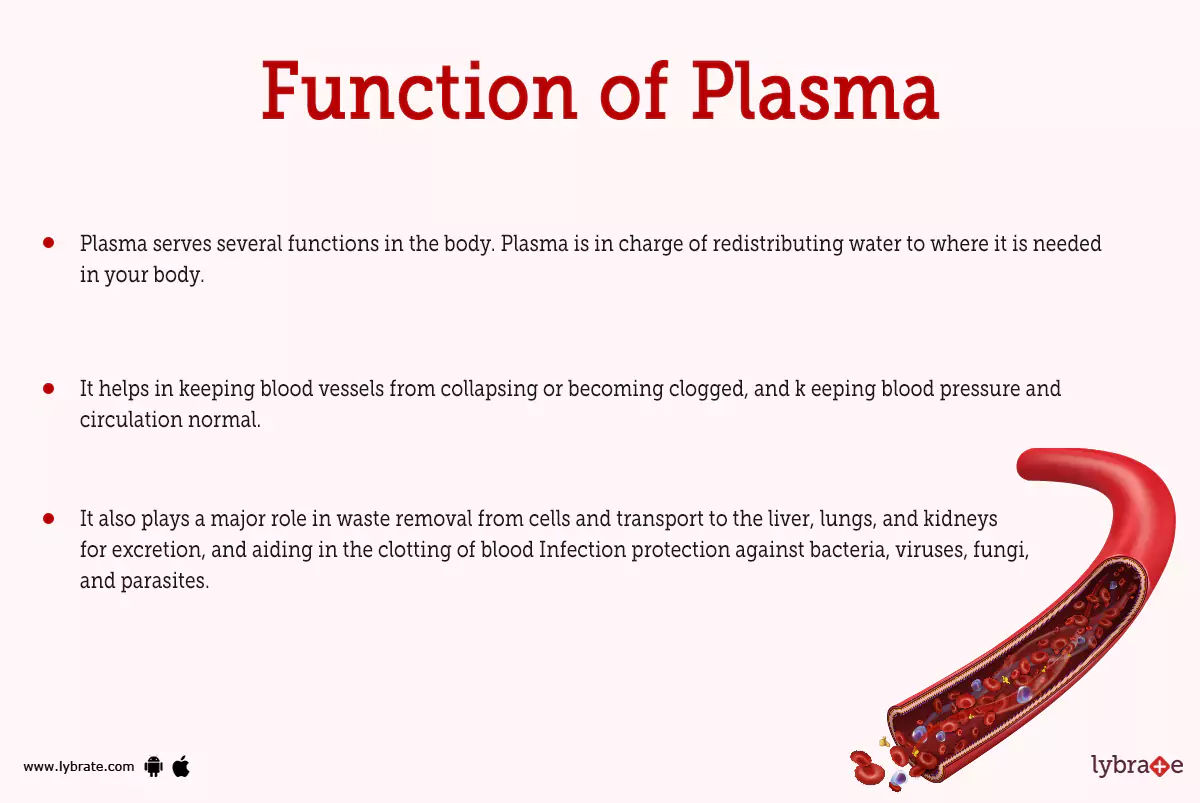 Plasma (Human Anatomy): Picture , Functions, Diseases and Treatments