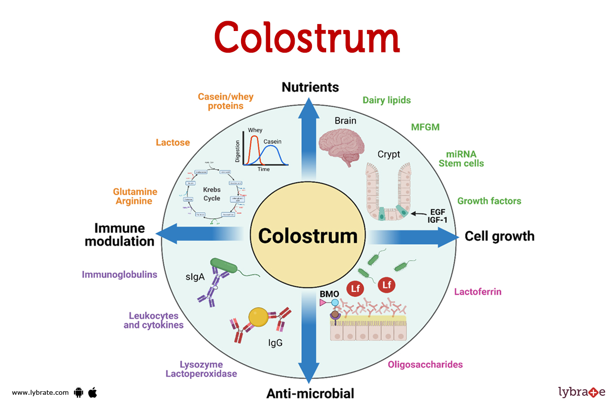 Colostrum (Human Anatomy): Image, Functions, Diseases and Treatments