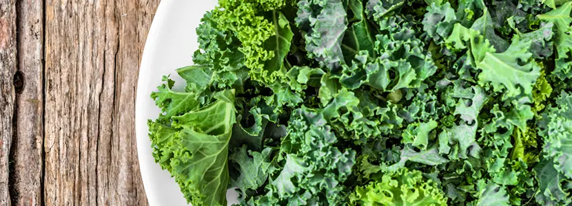 Kale: Health Benefits, Uses and Side Effects