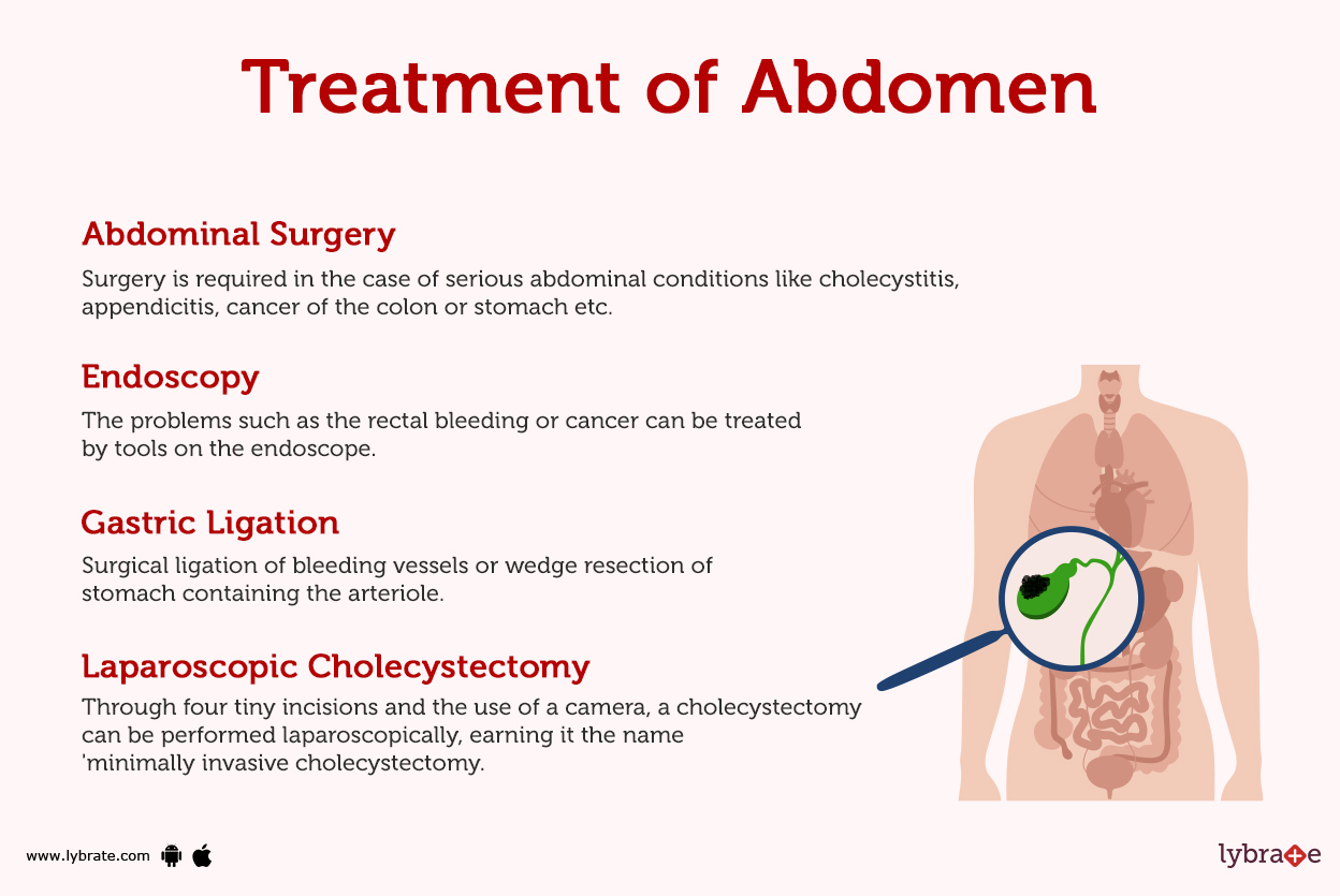 Abdomen (Human Anatomy) - Image, Definition, Function, Diseases and More