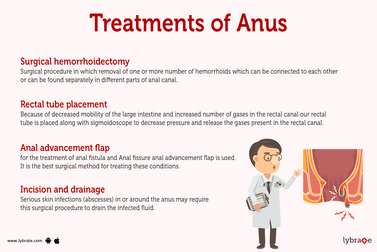 Anus (Human Anatomy): Picture, Function, Diseases, Tests, and Treatments