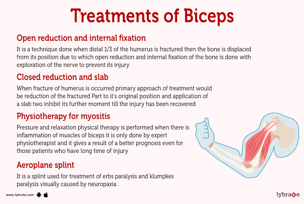 Biceps (Human Anatomy): Picture, Function, Diseases, Tests, and Treatments