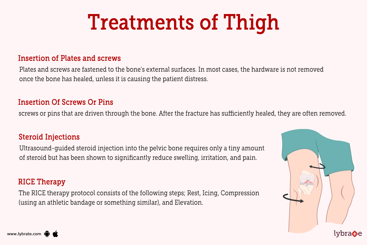 Thigh (Human Anatomy): Image, Function, Diseases, and Treatments