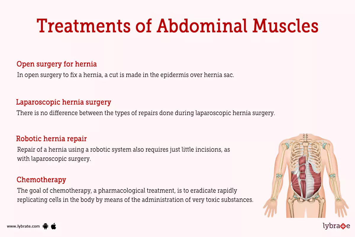Abdominal muscles (Human Anatomy): Picture , Functions, Diseases and ...