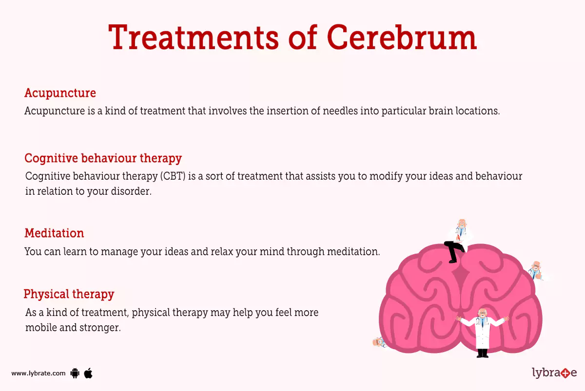 Cerebrum (Human Anatomy): Image, Functions, Diseases and Treatments