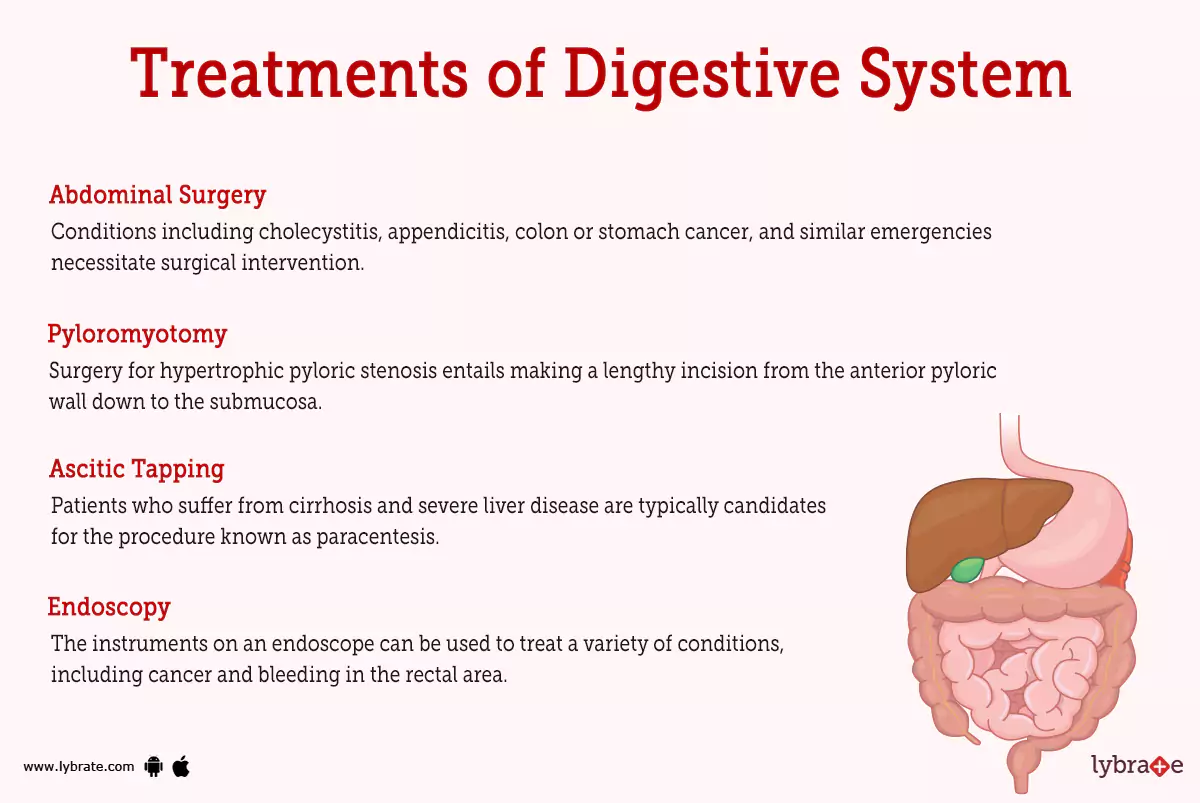 Digestive System (Human Anatomy): Picture, Functions, Diseases, and ...
