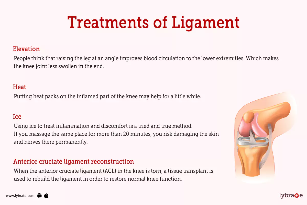 Ligaments (Human Anatomy): Image, Functions, Diseases and Treatments