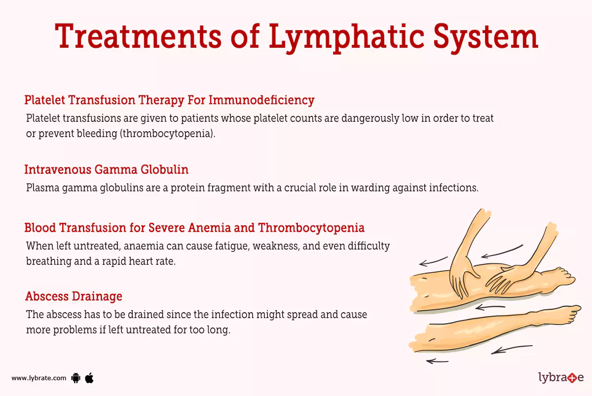 Lymphatic System (Human Anatomy): Picture, Functions, Diseases, and ...