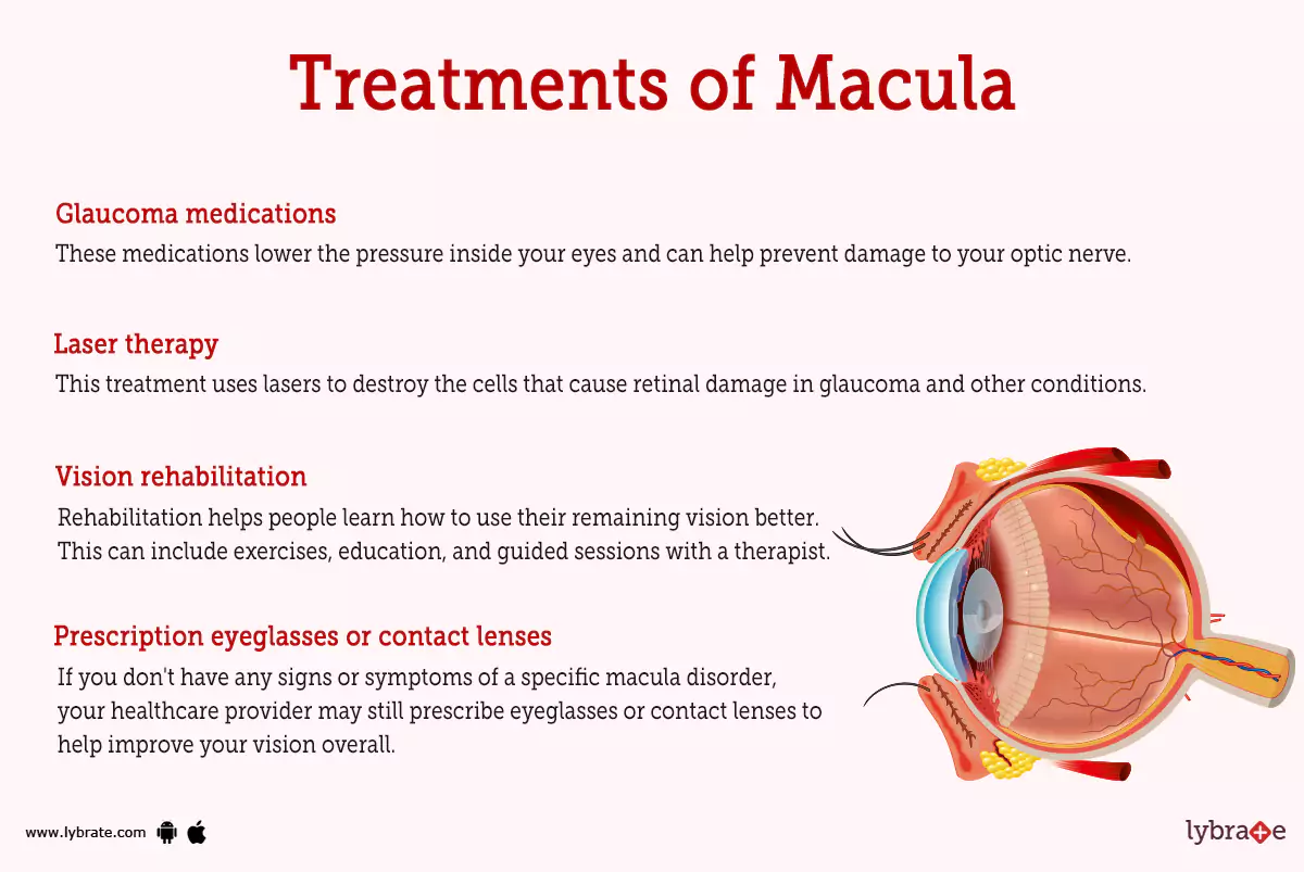 Macula (Human Anatomy): Image, Functions, Diseases and Treatments