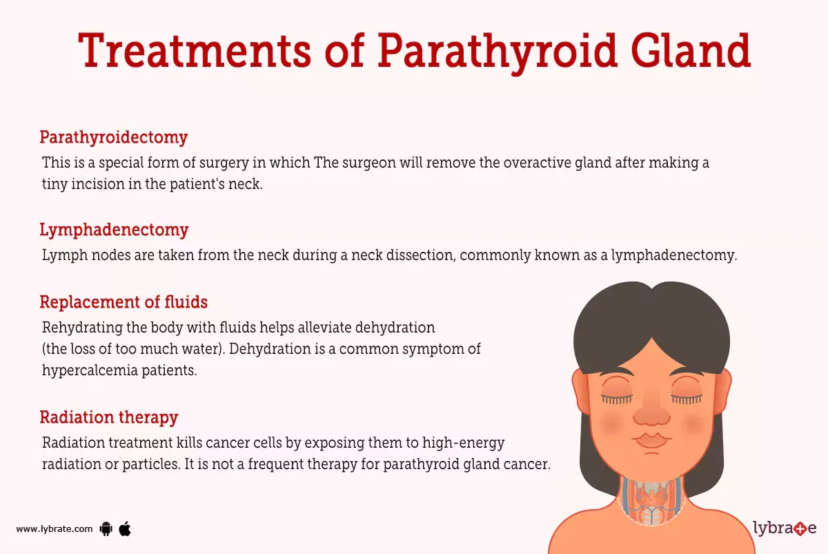Parathyroid Gland Human Anatomy Picture Functions Diseases And