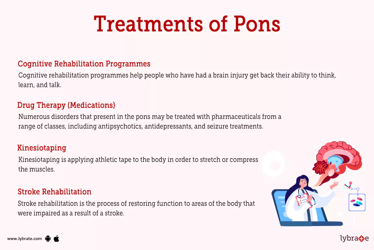 Pons (Human Anatomy): Image, Functions, Diseases and Treatments