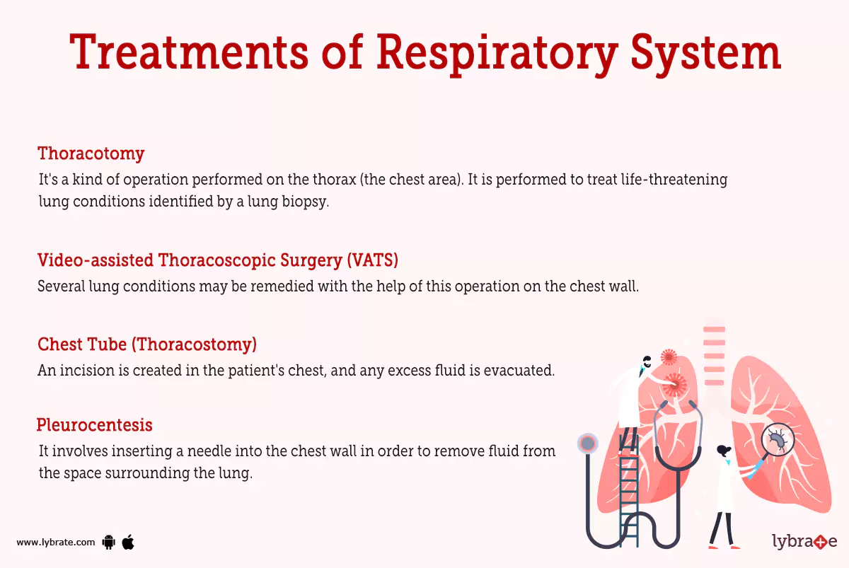 Respiratory System (Human Anatomy): Picture, Functions, Diseases, and ...