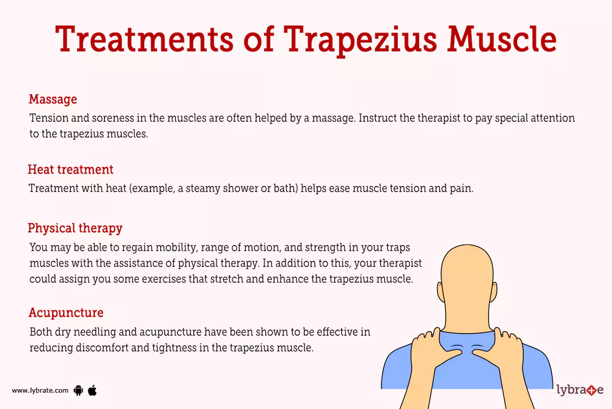 Trapezius Muscle (Human Anatomy): Image, Functions, Diseases and Treatments