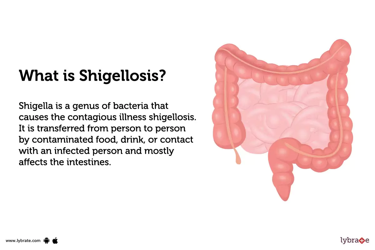 Shigellosis: Causes, Symptoms, Treatment and Cost