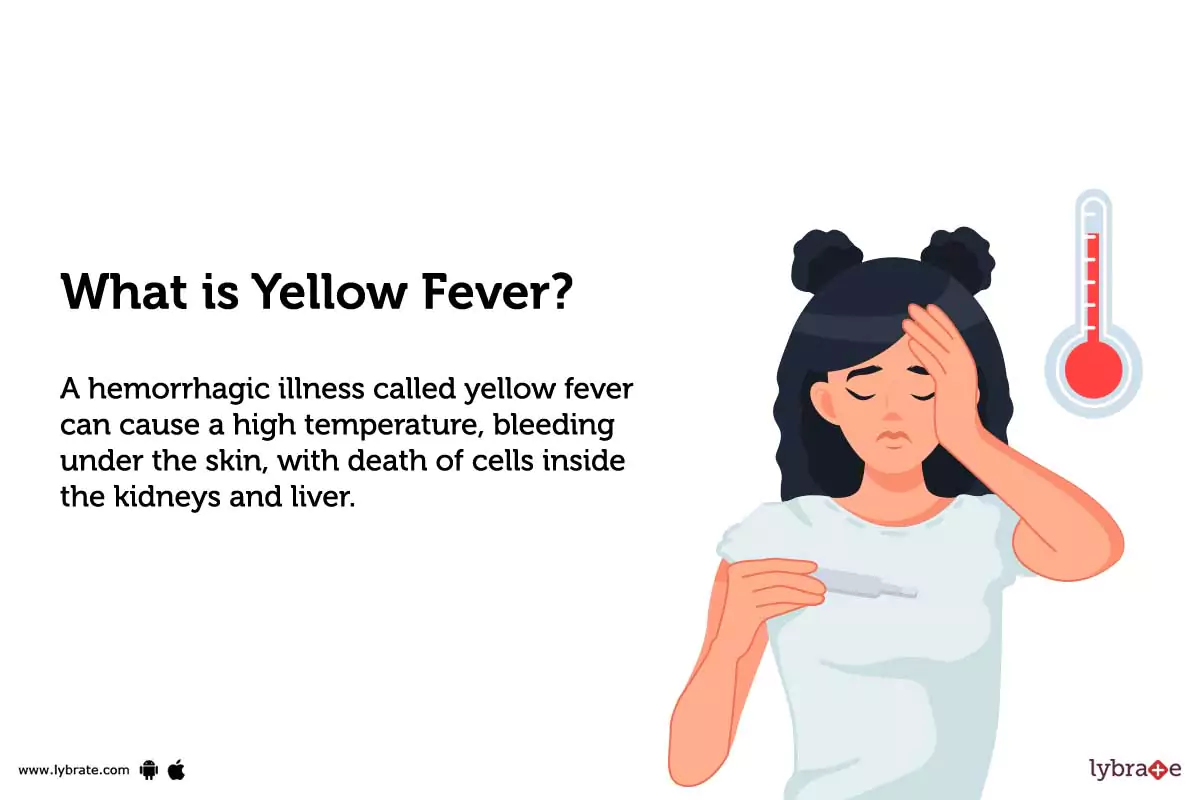 Yellow Fever: Causes, Symptoms, Treatments And More