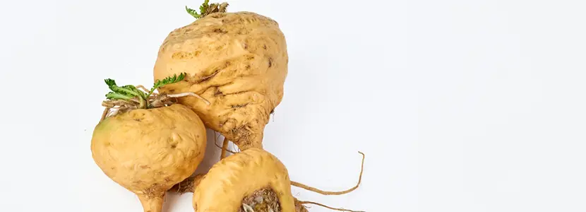 Maca Root: Health Benefits, Uses and Side Effects