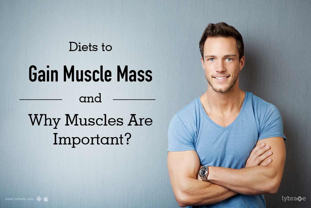 Diets to Gain Muscle Mass and Why Muscles Are Important? - By Diet ...