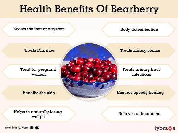 Benefits of Bearberry And Its Side Effects | Lybrate