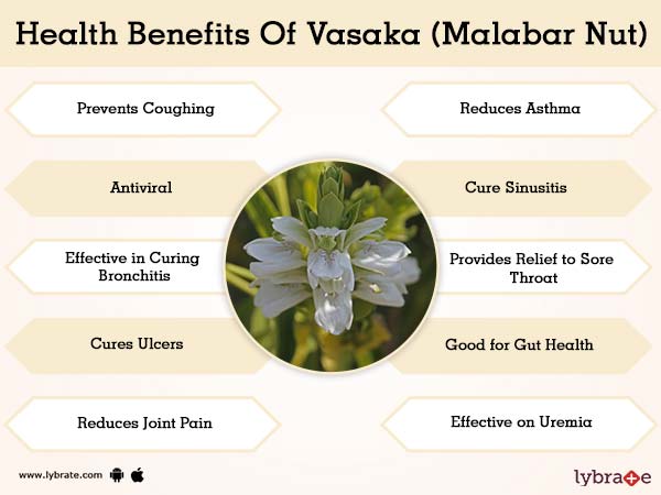 Vasaka (Malabar Nut) Benefits And Its Side Effects | Lybrate
