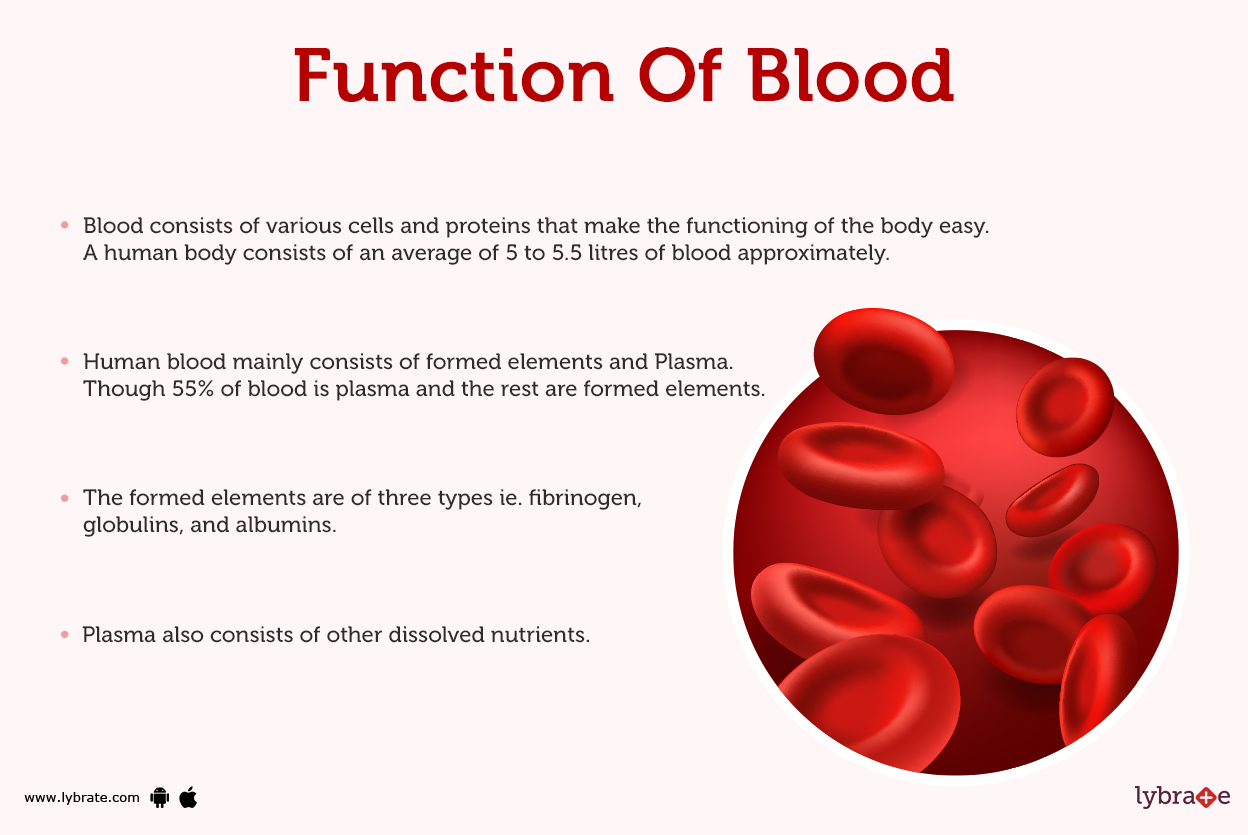 Blood Cells Functions Diseases Treatments Medicines And More